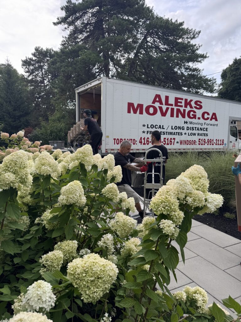 How to Find a Good Long Distance Moving Company | Aleks Moving